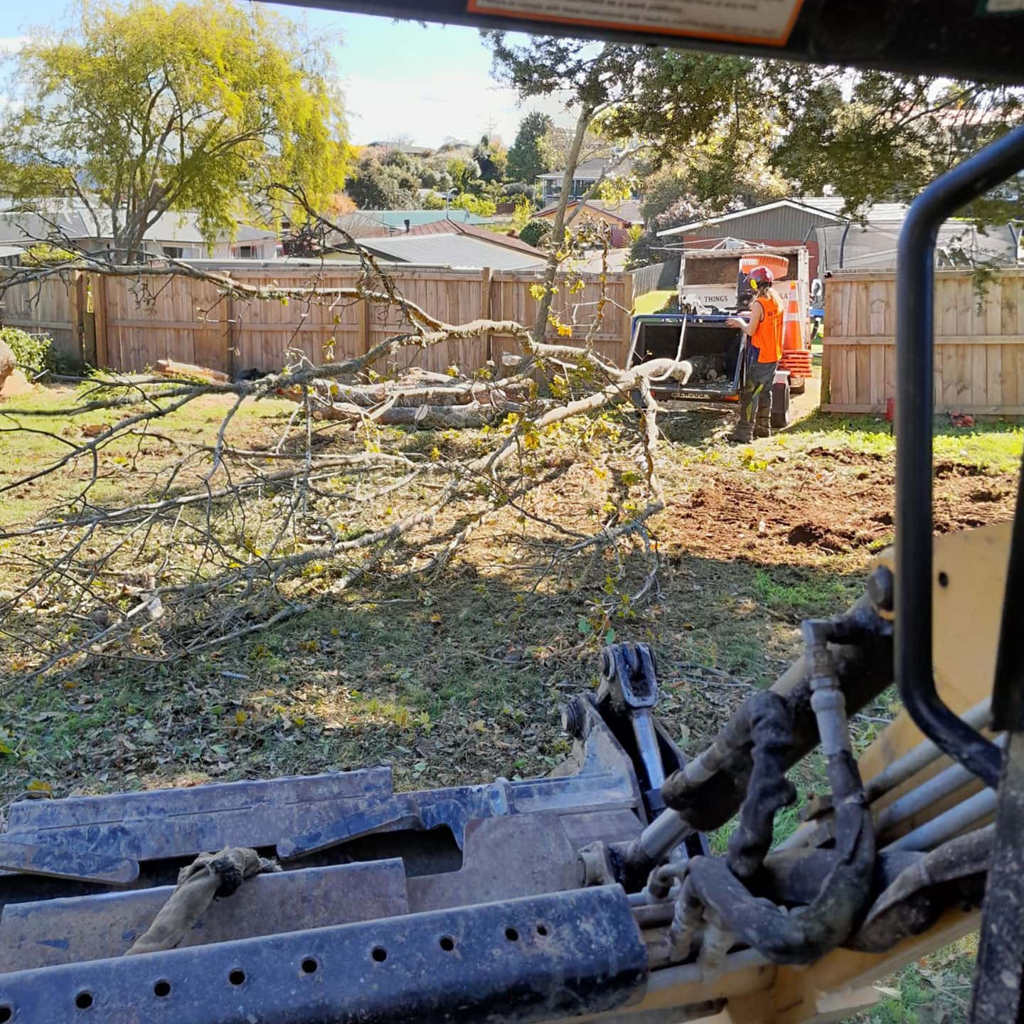 Tree Removal Service | Tree Felling & Land Clearing