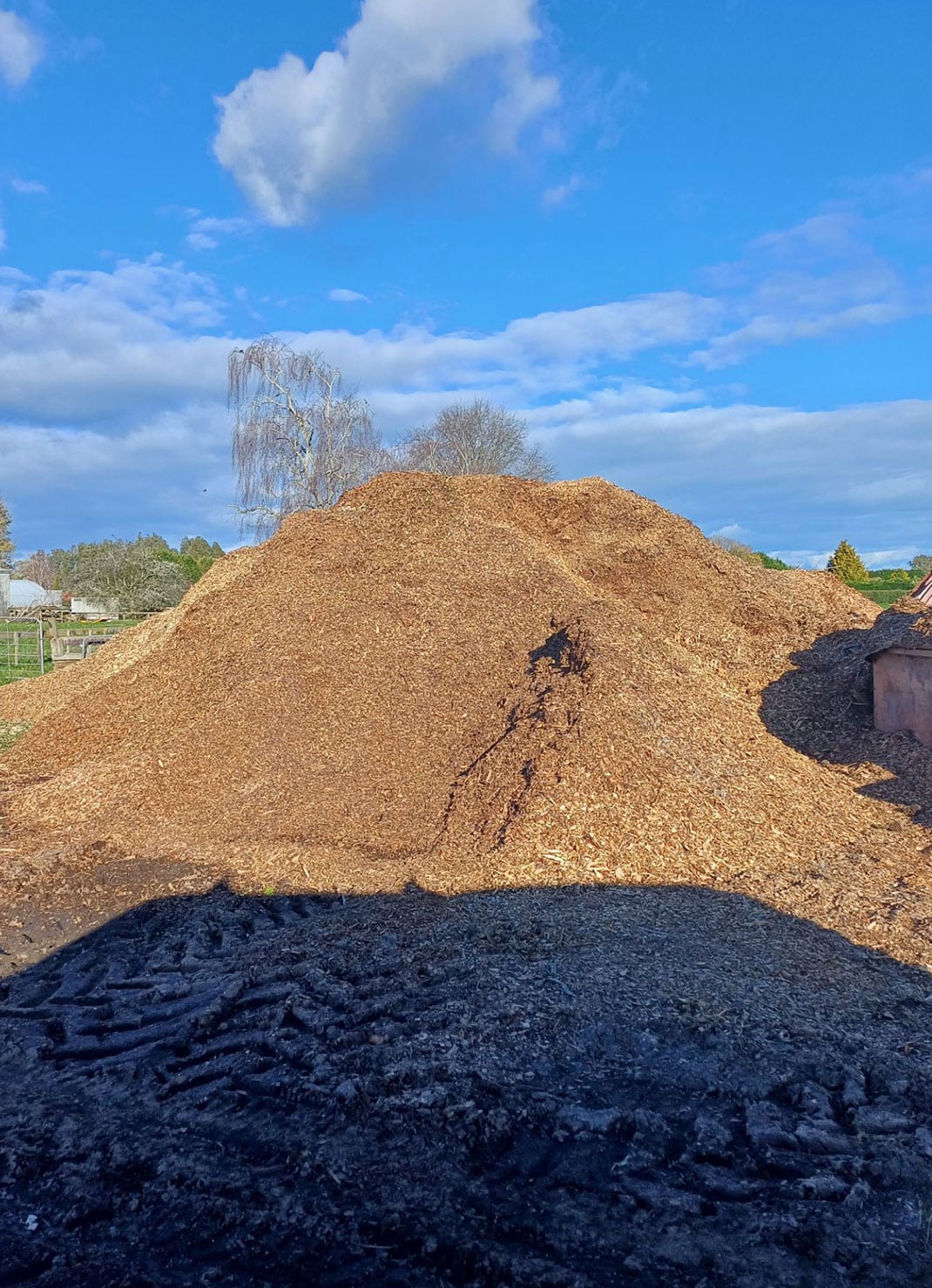 Order Now - All Things Tree Waikato