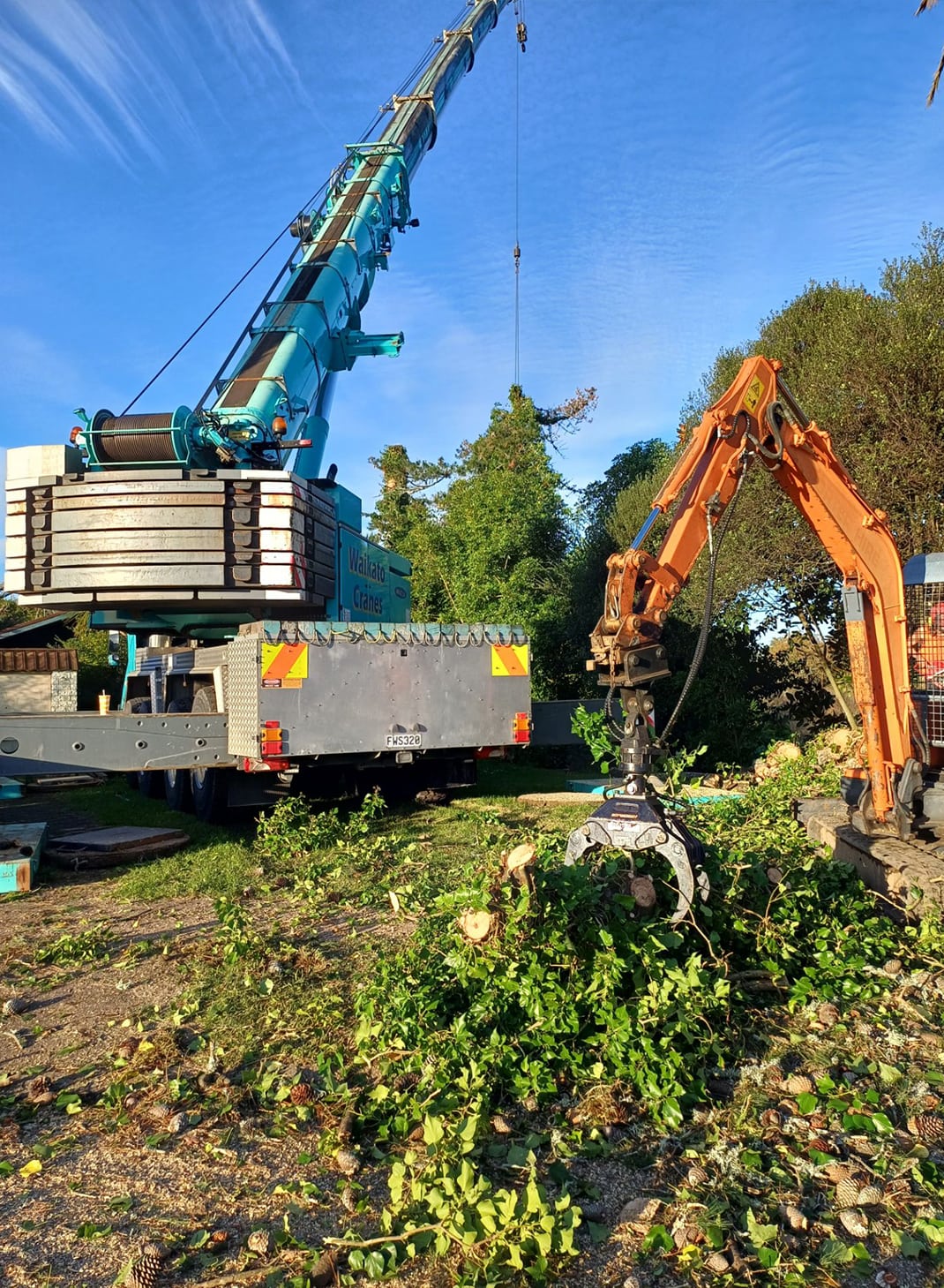 Tree Removal Service | Tree Felling & Land Clearing